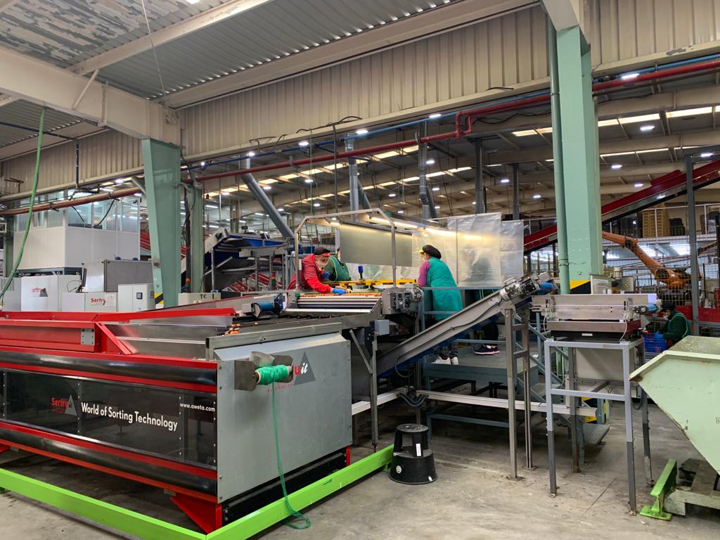 EL GRUPO SCA - Unica Group